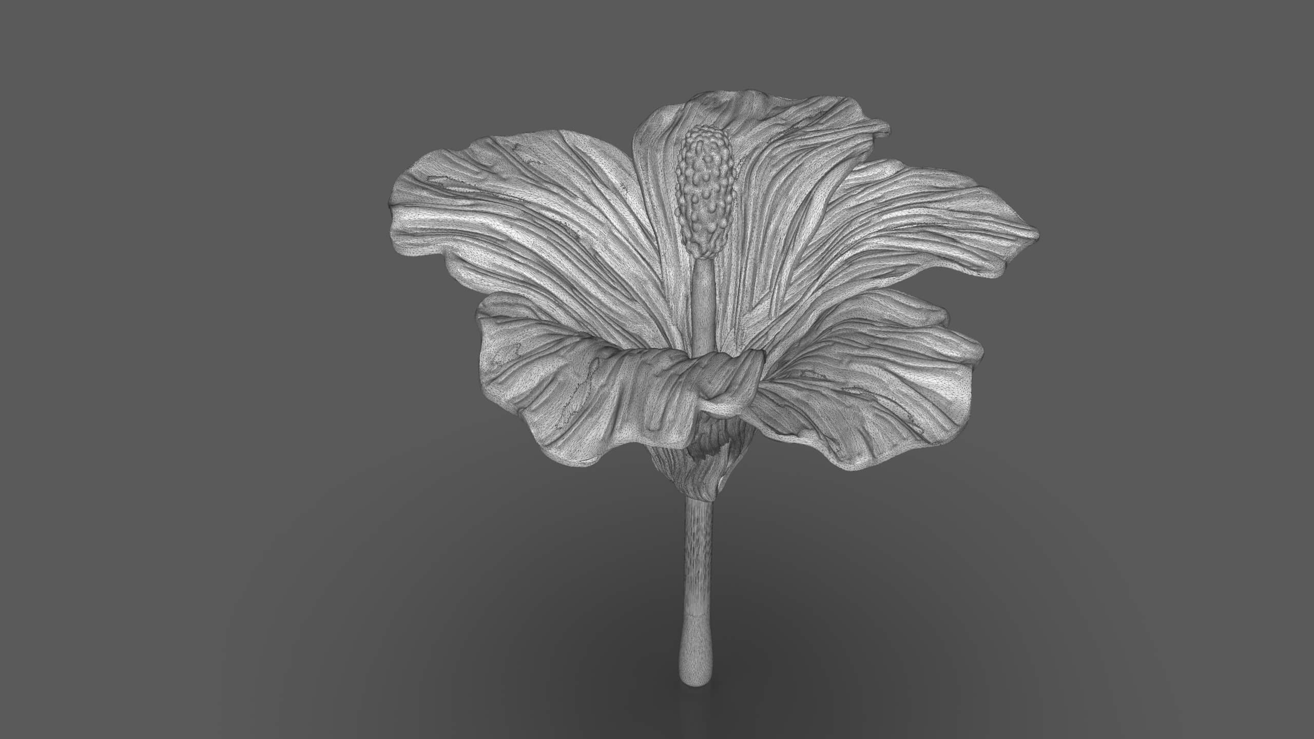 Hibiscus Flower Sculpt - 3D Model by PaburoVIII