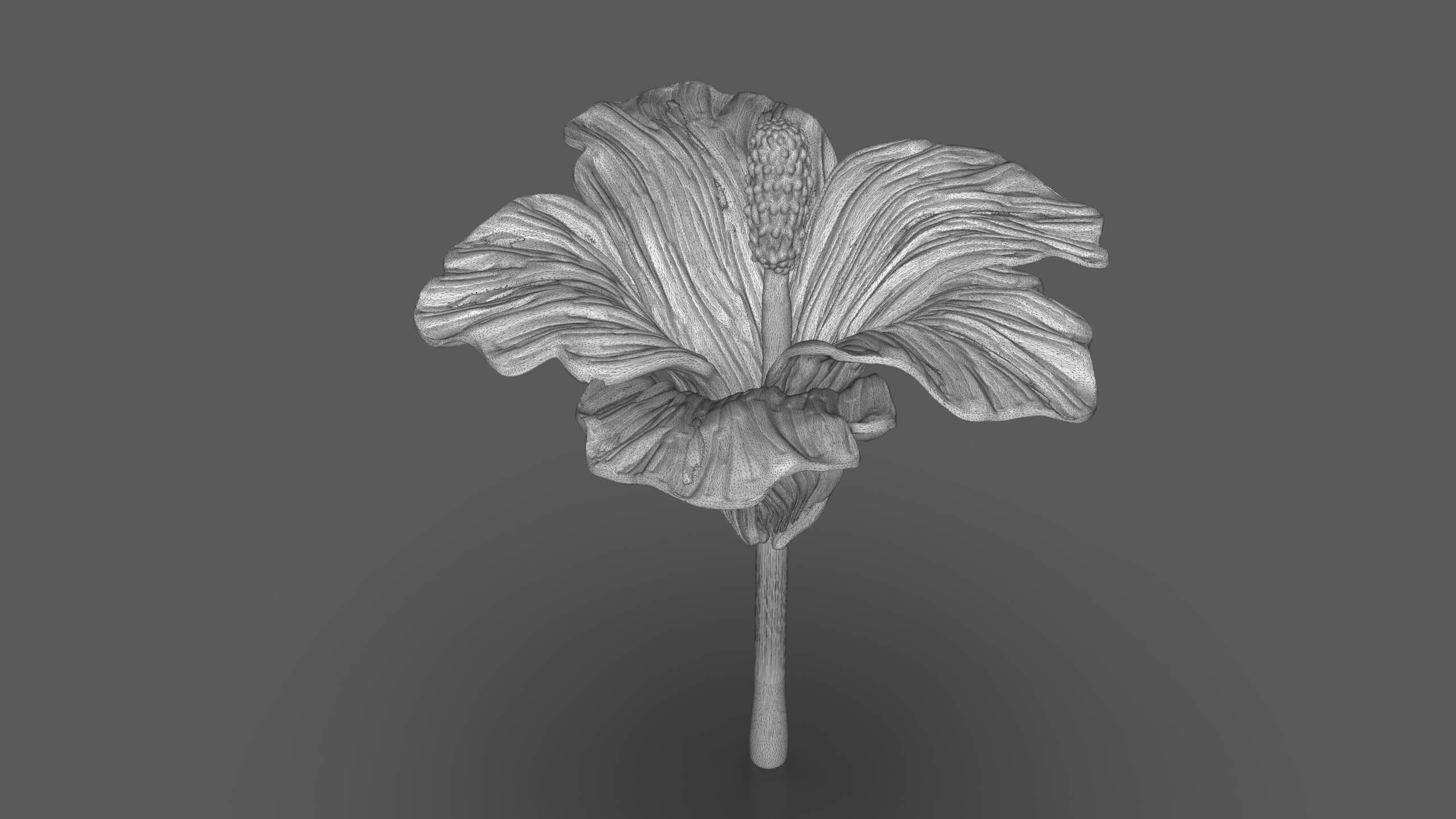 Hibiscus Flower Sculpt - 3D Model by PaburoVIII