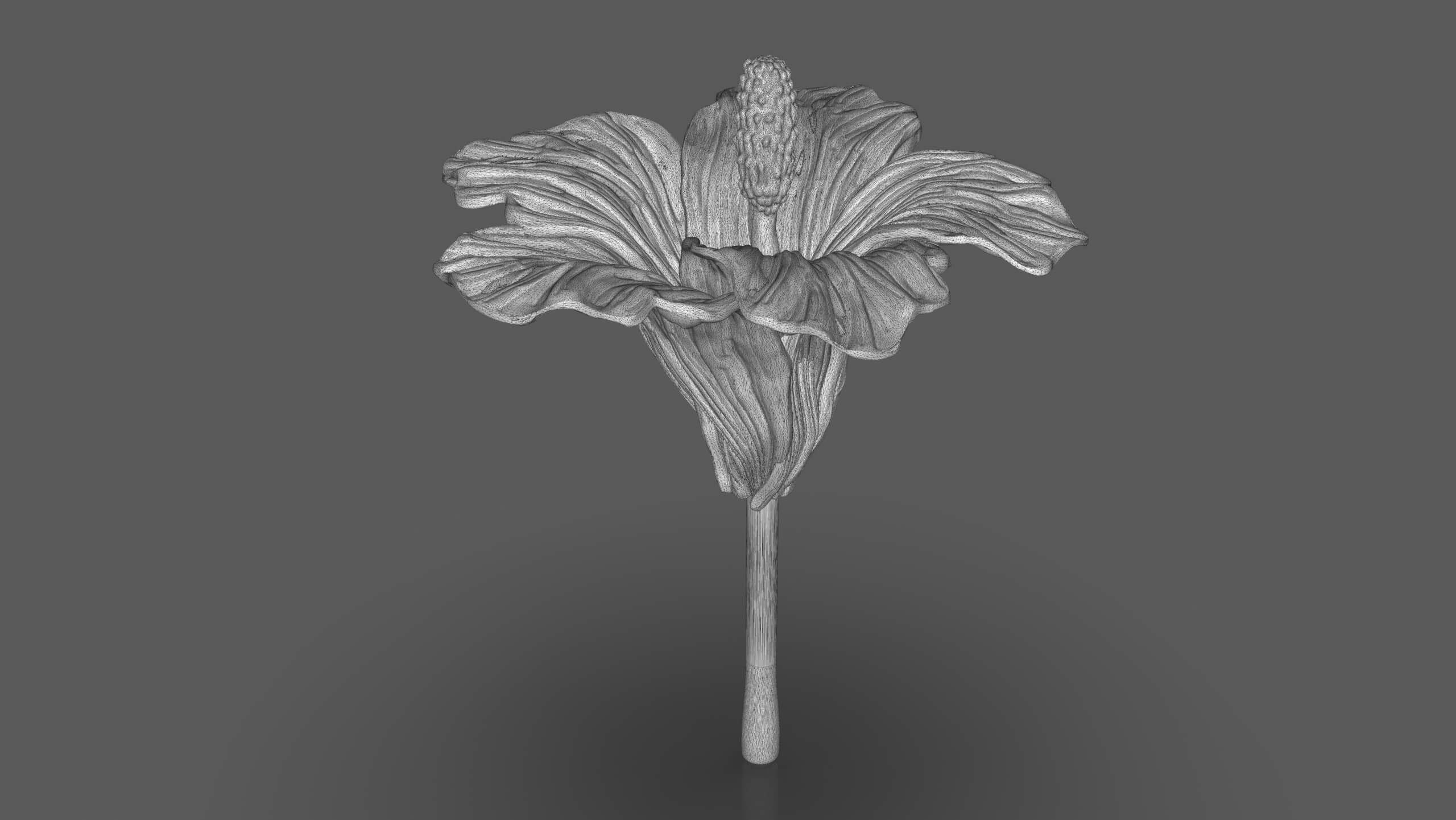 Hibiscus Flower Sculpt - 3D Model by PaburoVIII