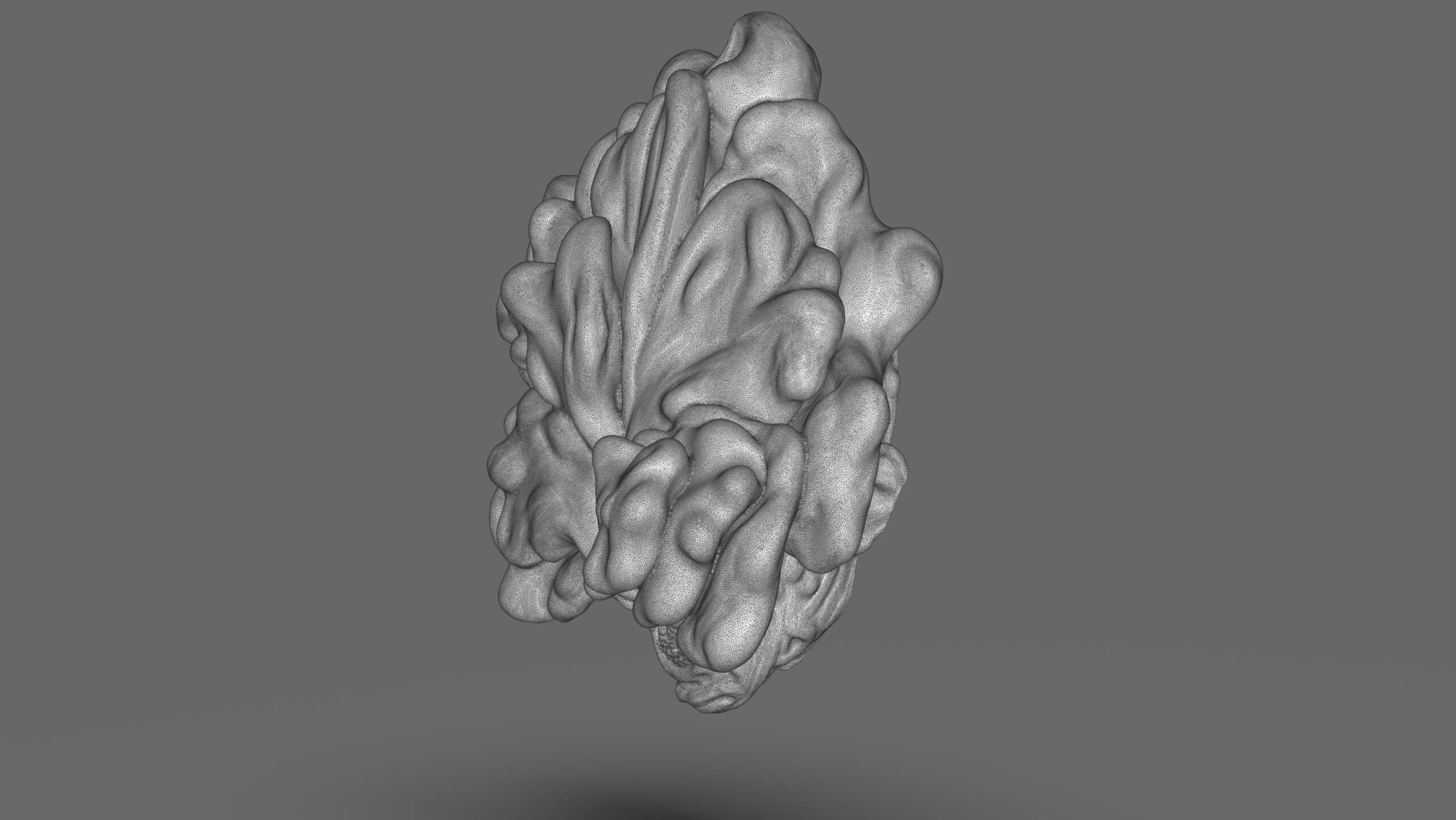 The Last of US Clicker Head - 3D Model by PaburoVIII