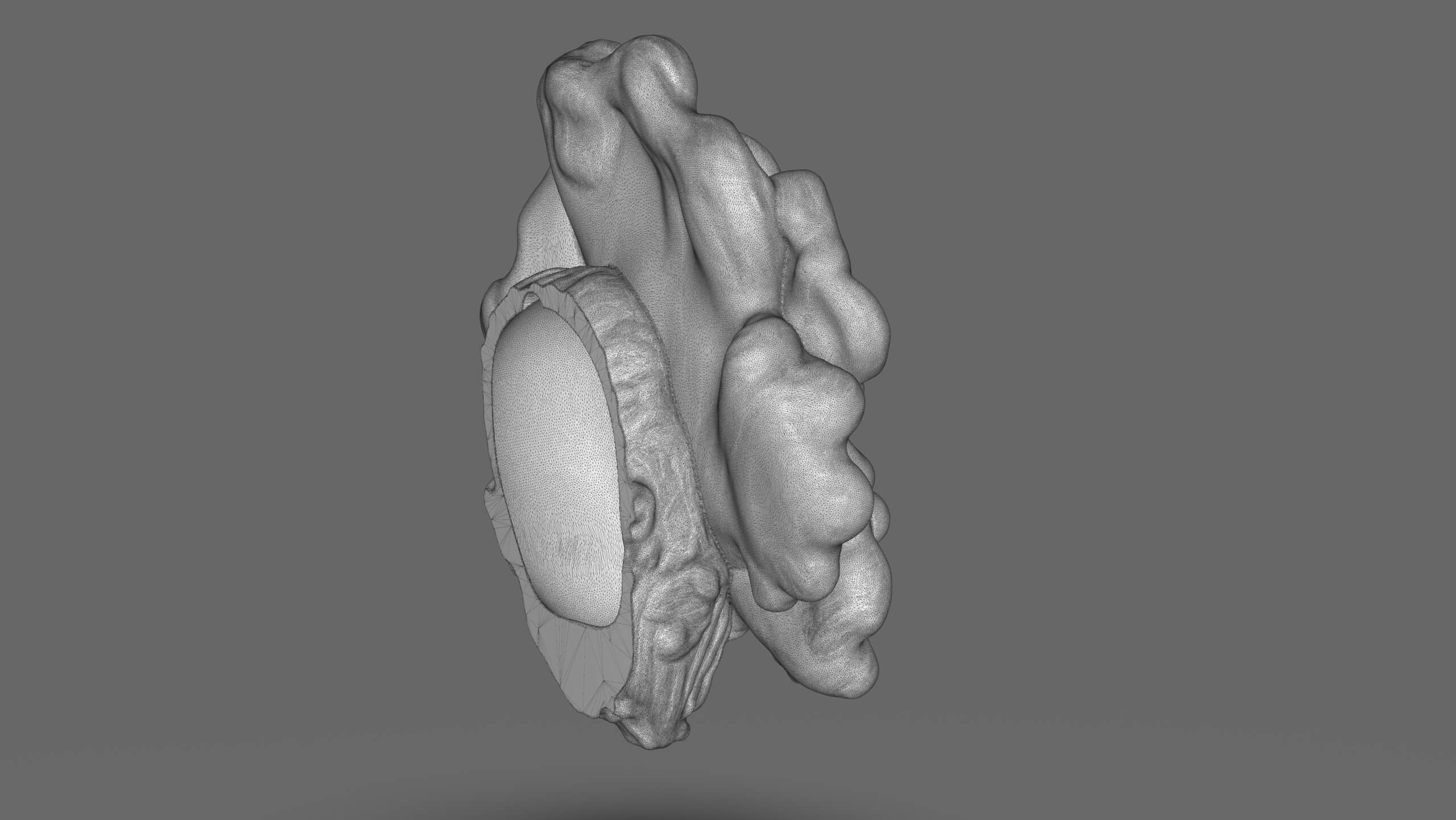 The Last of US Clicker Head - 3D Model by PaburoVIII