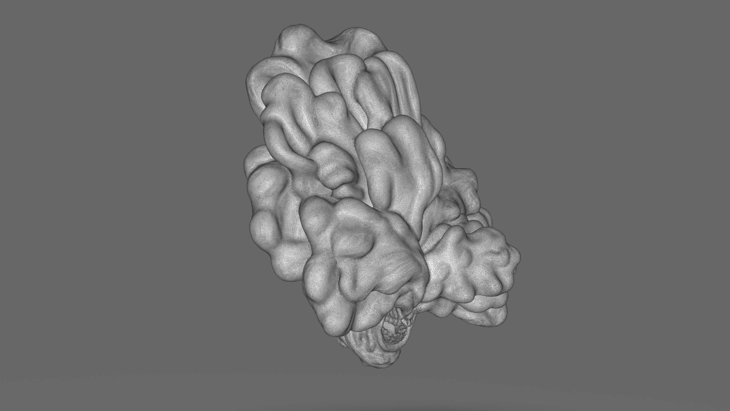 The Last of US Clicker Head - 3D Model by PaburoVIII