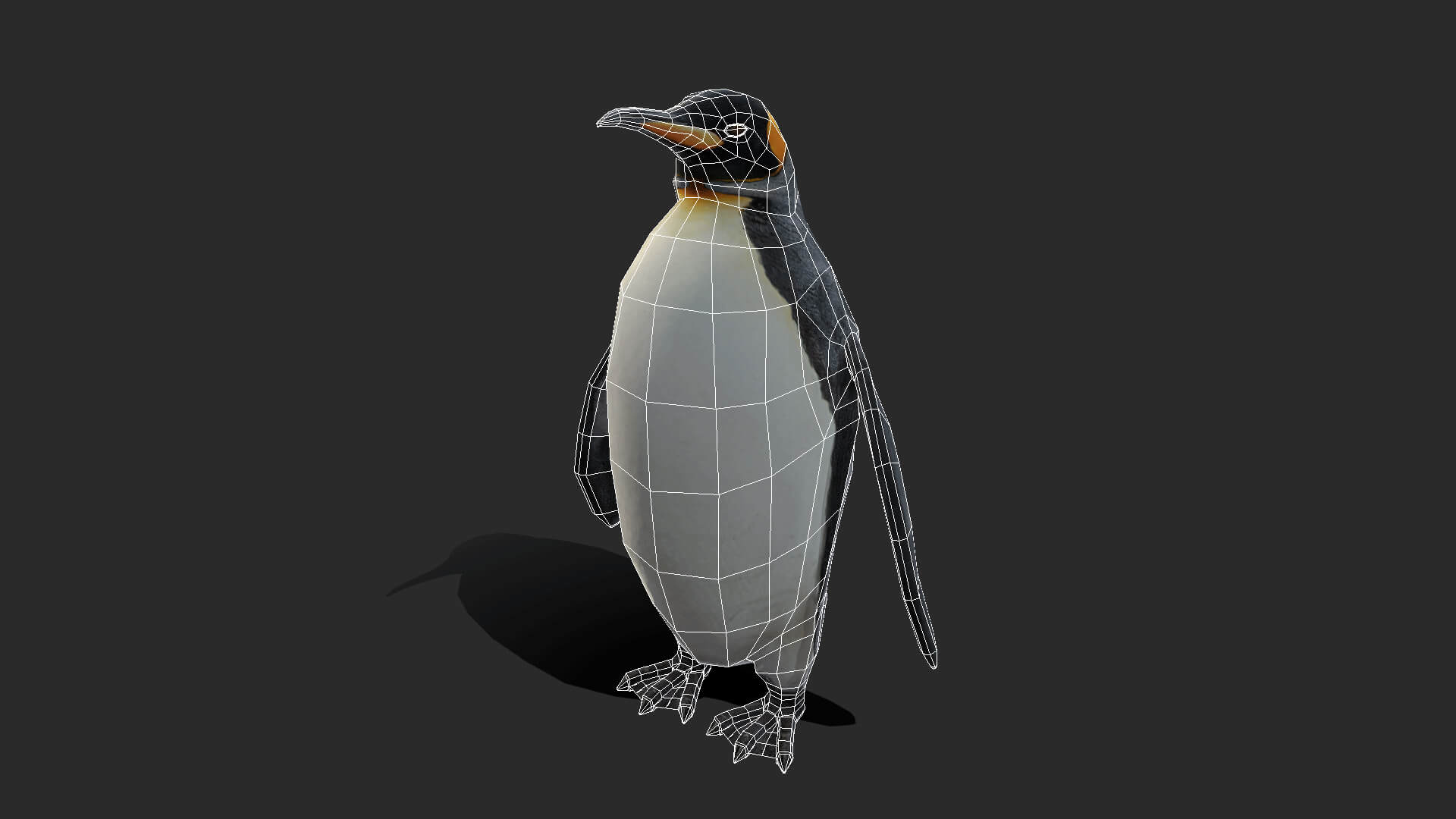 King Penguin Low Poly Animated - 3D Model by paduladi