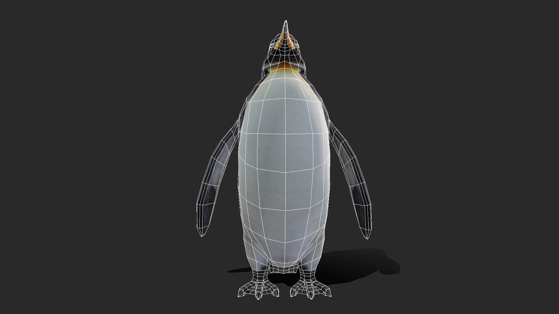 King Penguin Low Poly Animated - 3D Model by paduladi