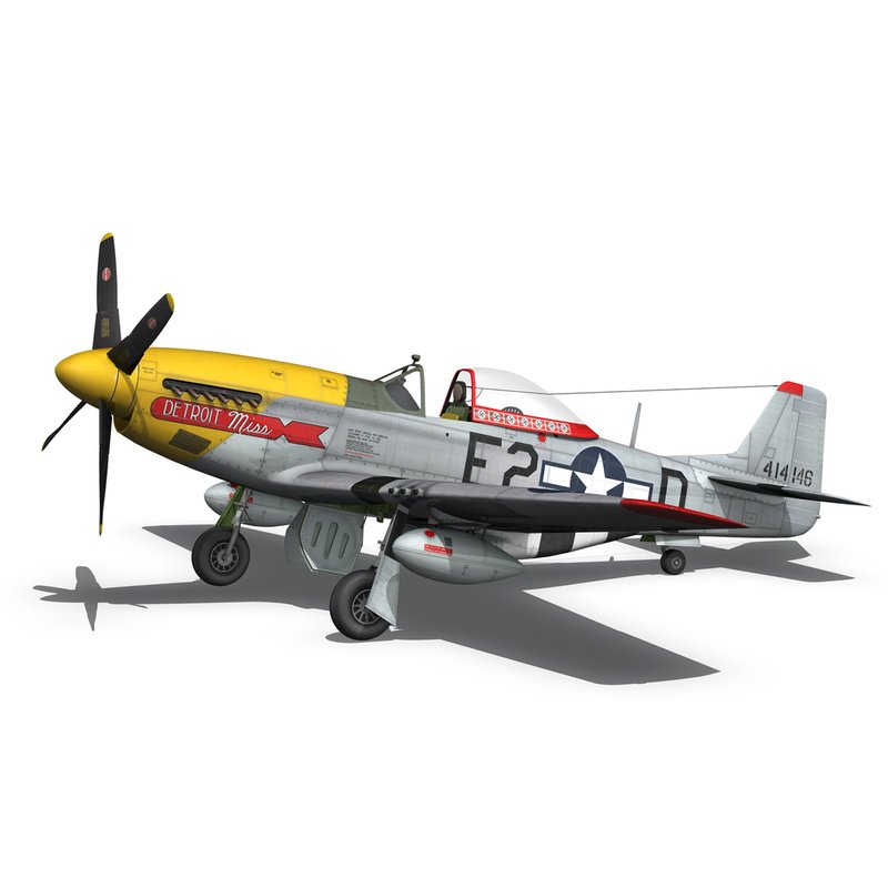 North American P-51D - Detroit Miss 3D Model by panaristi