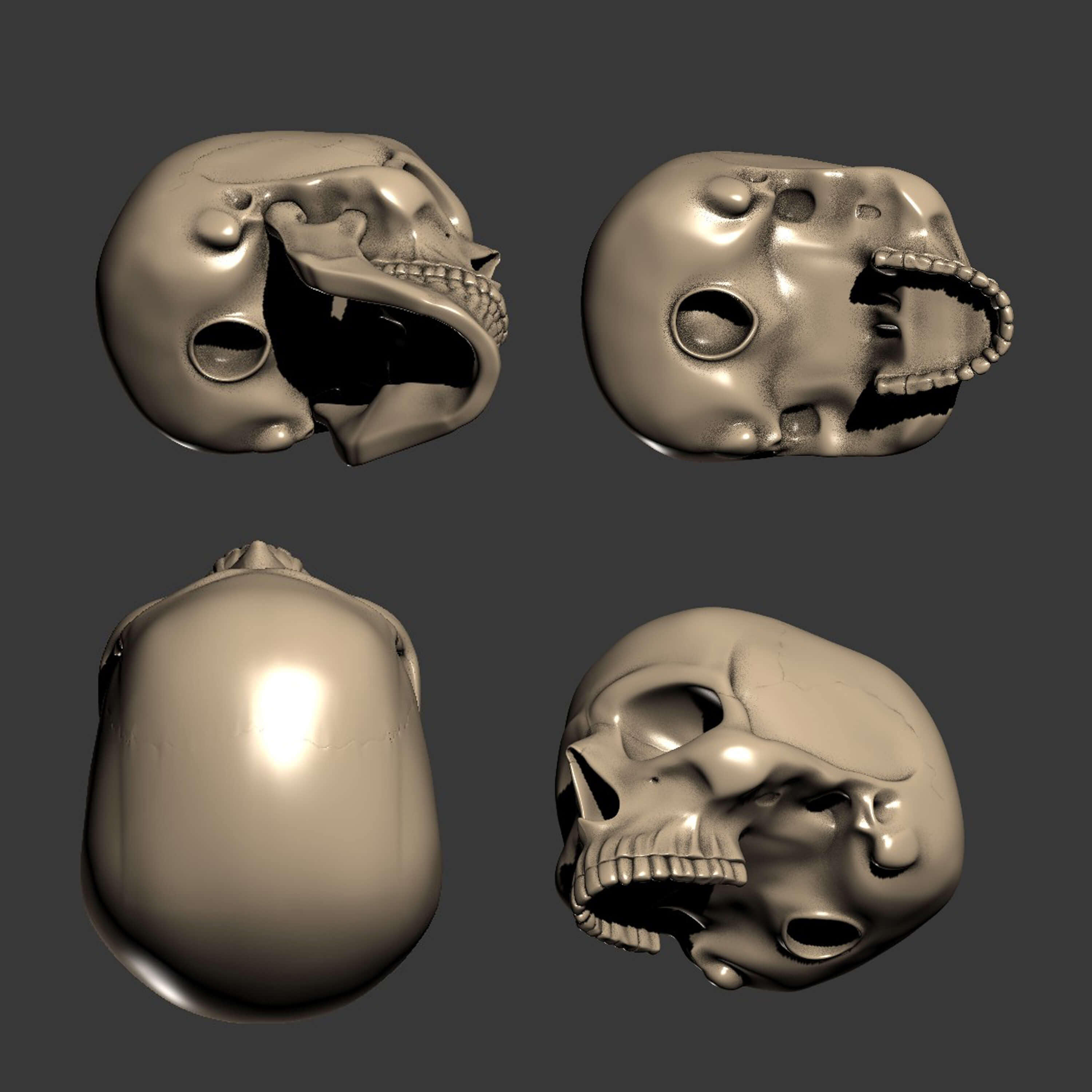 Human Skull 3D Model by pat460