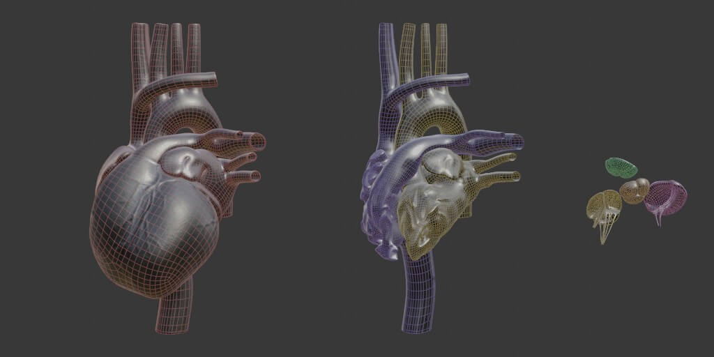 3D Model of Human Heart by patinyaS