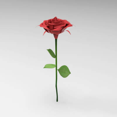 Red Rose 3D Models by Paul2025