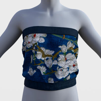 Bandeau Top for Genesis 9 - Daz Content by paulawbs