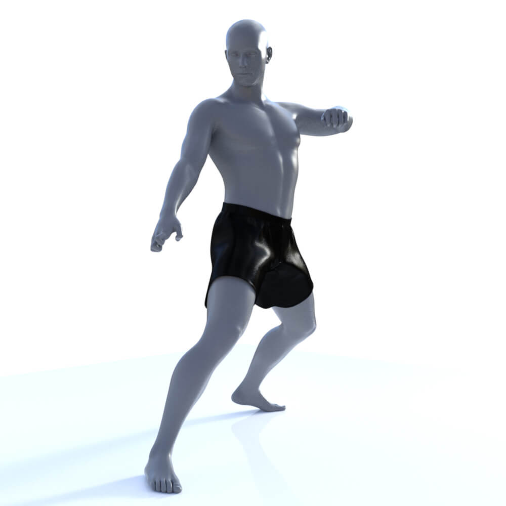 Karate (15) Pose for Genesis 8.1 Male - Daz Content by paulawbs
