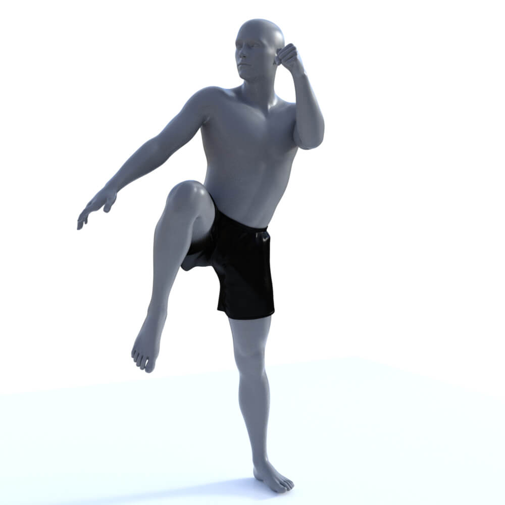 Karate (5) Pose for Genesis 8 Male - Daz Content by paulawbs