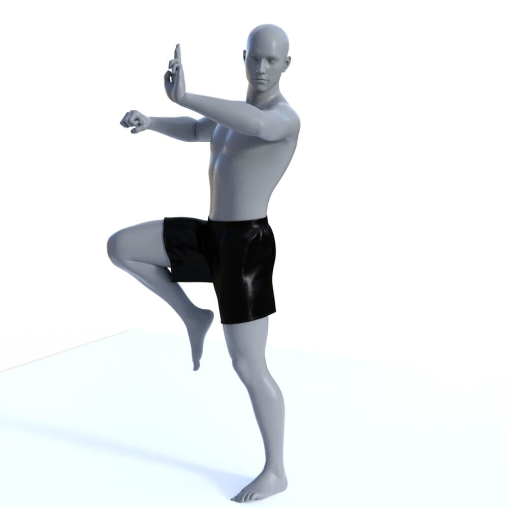 Karate (5) Pose for Genesis 8 Male - Daz Content by paulawbs