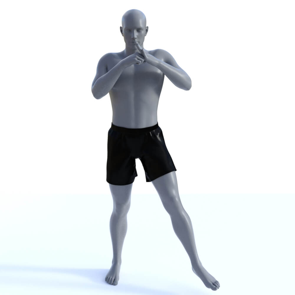 Karate (15) Pose for Genesis 8.1 Male - Daz Content by paulawbs