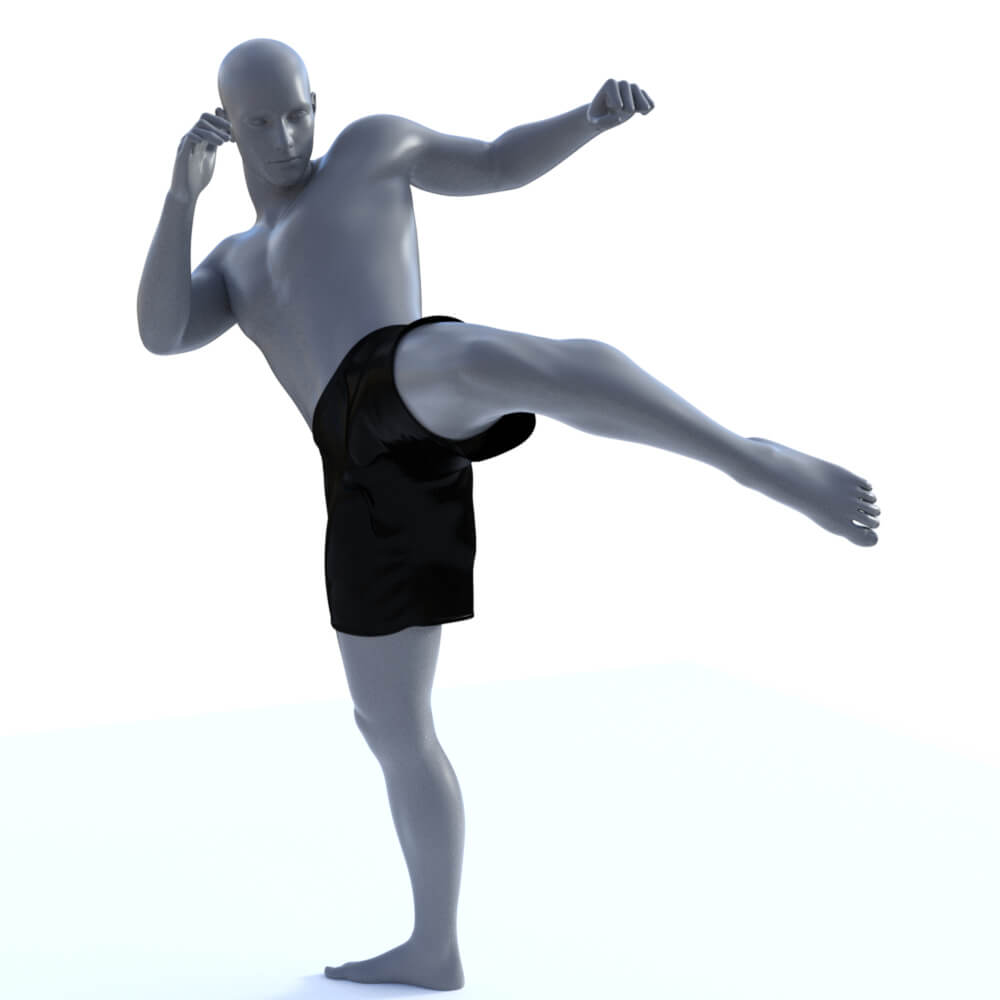 Karate (15) Pose for Genesis 8.1 Male - Daz Content by paulawbs