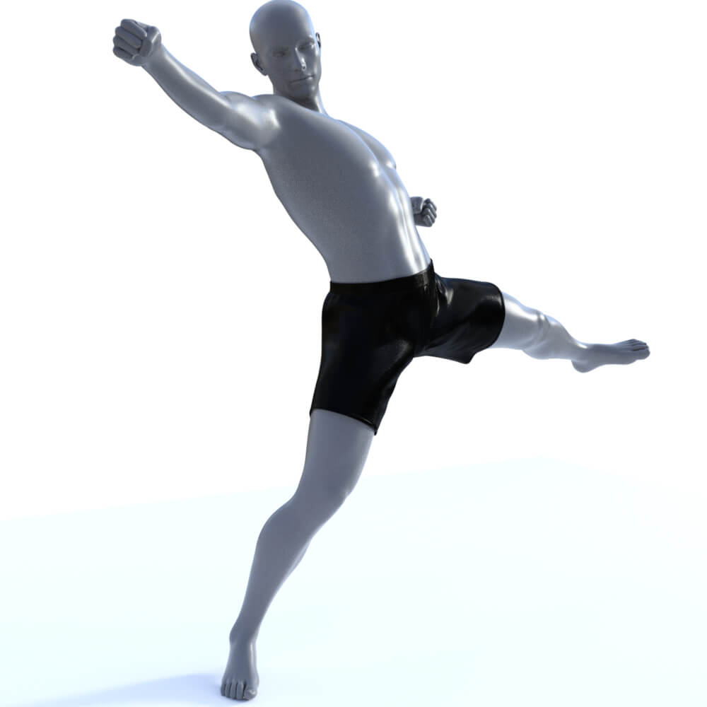 Karate (15) Pose for Genesis 8.1 Male - Daz Content by paulawbs