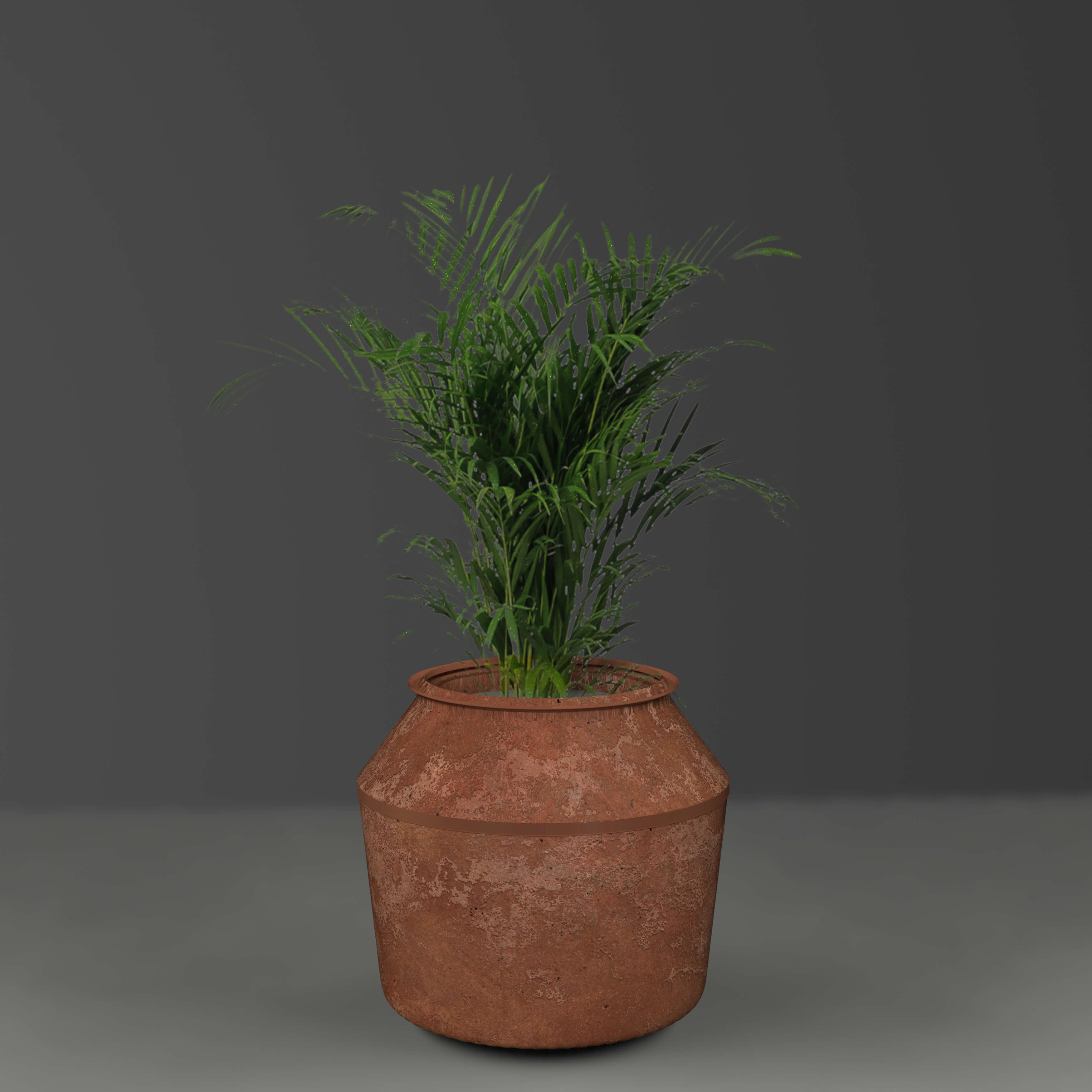 Plant Pot a Prop - Daz Content by paulawbs