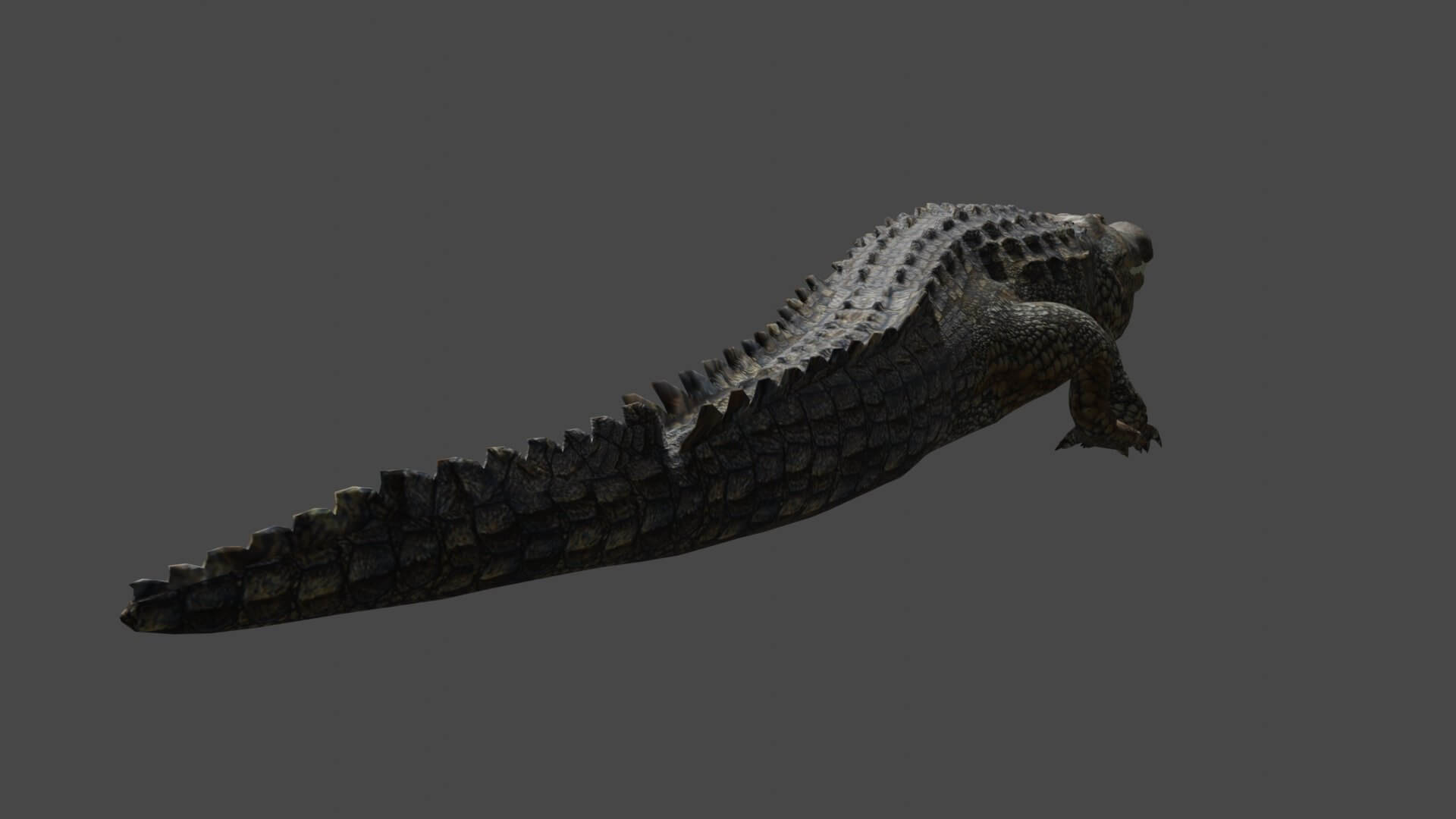 Aligator - 3D Model by Petar Doychev