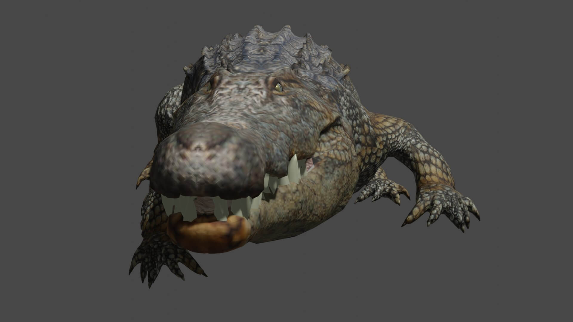Aligator - 3D Model by Petar Doychev
