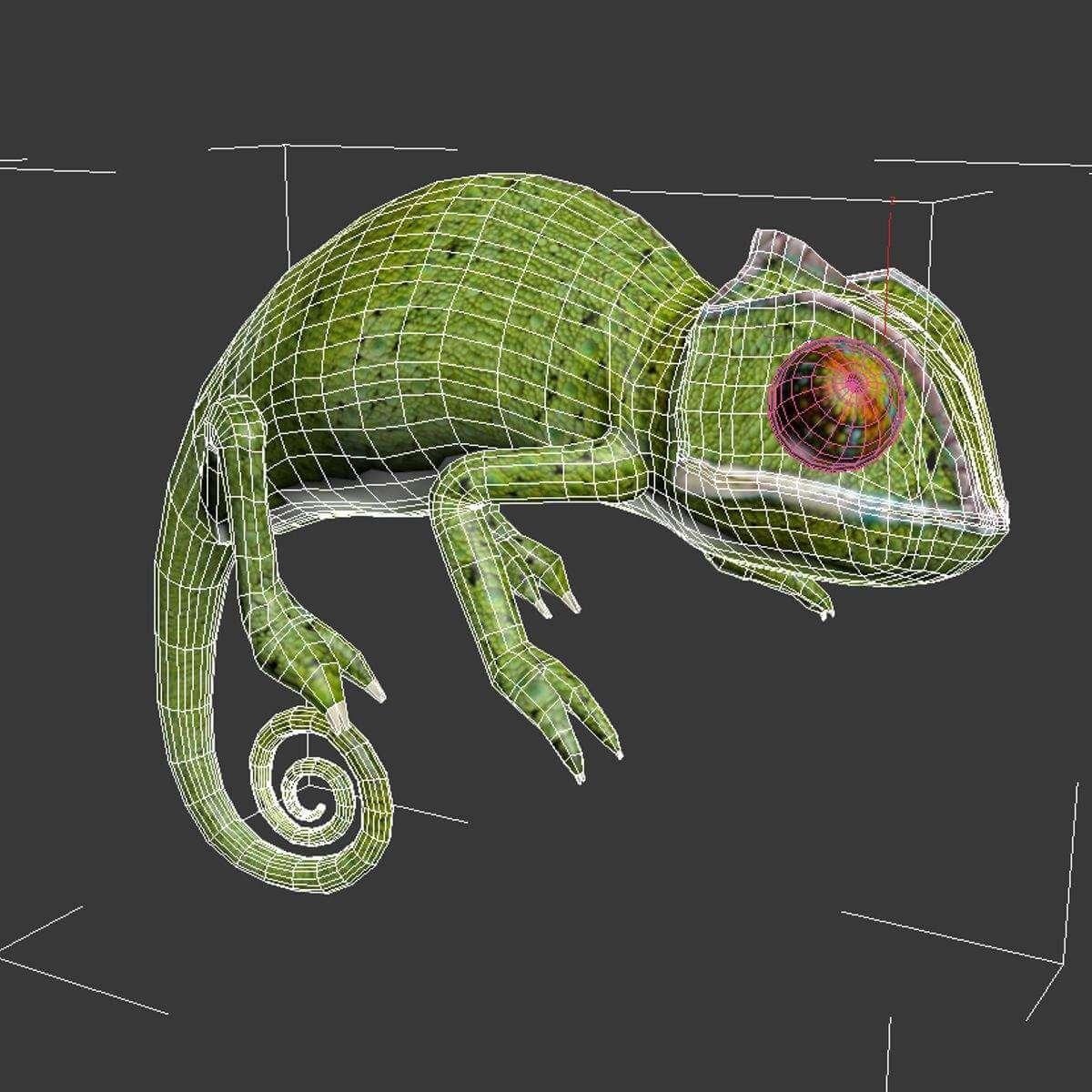 Chameleon (animated) - 3D Model by Petar Doychev