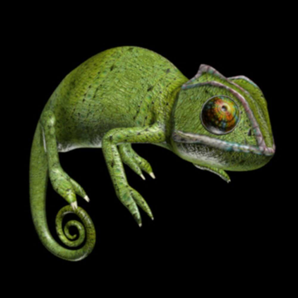 Chameleon - 3D Model by Petar Doychev