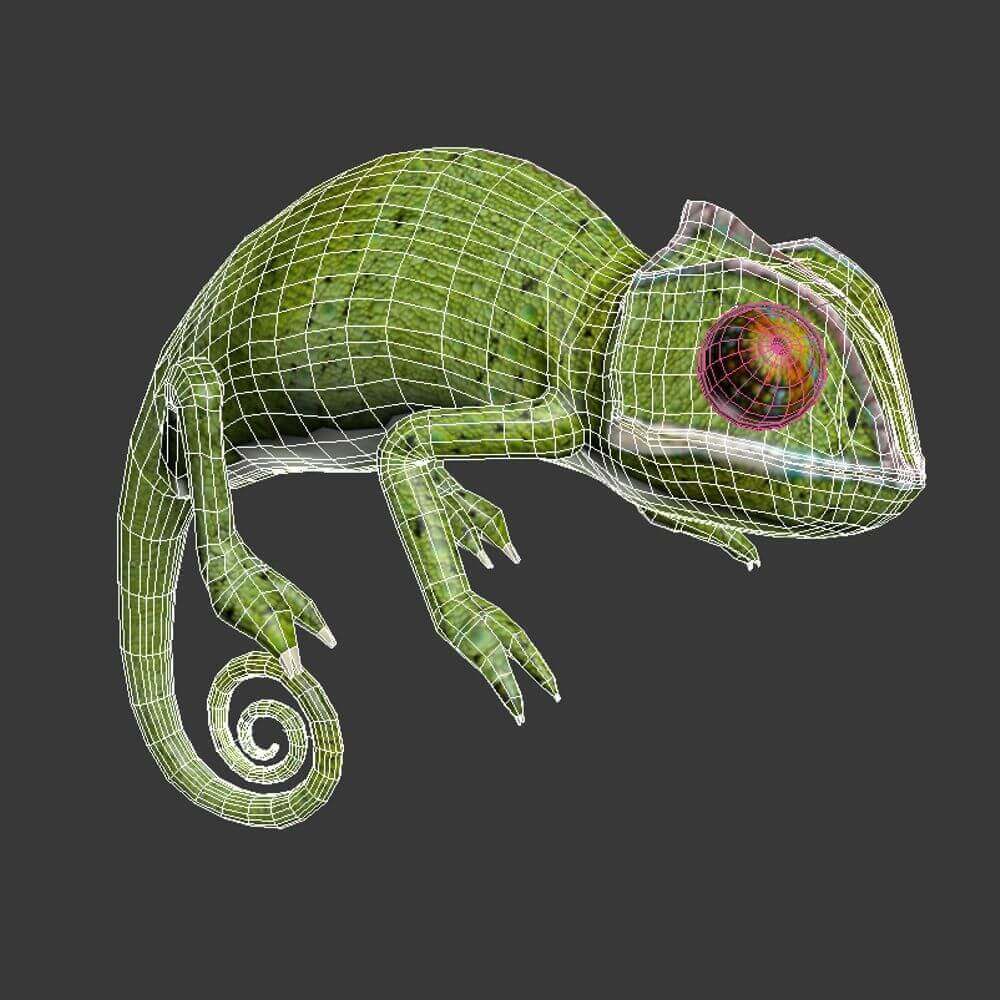 Chameleon - 3D Model by Petar Doychev