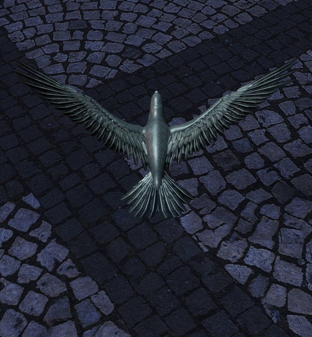 Crow Flying - 3D Model by Petar Doychev