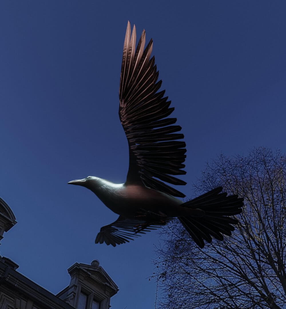 Crow Flying - 3D Model by Petar Doychev