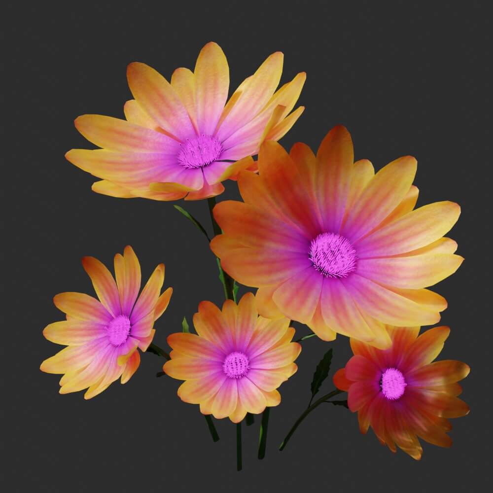 Daisy Flower - 3D Model by Petar Doychev