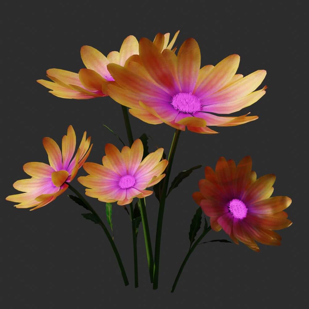 Daisy Flower - 3D Model by Petar Doychev