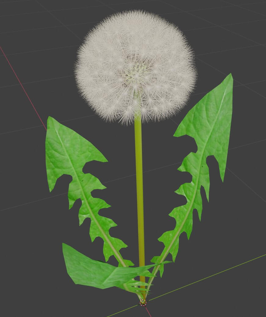 Dandelion - 3D Model by Petar Doychev