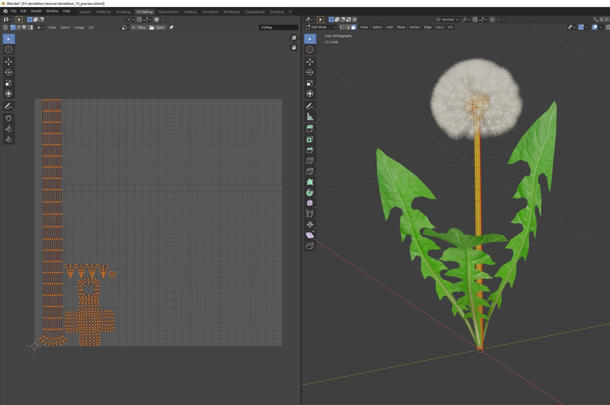 Dandelion - 3D Model by Petar Doychev