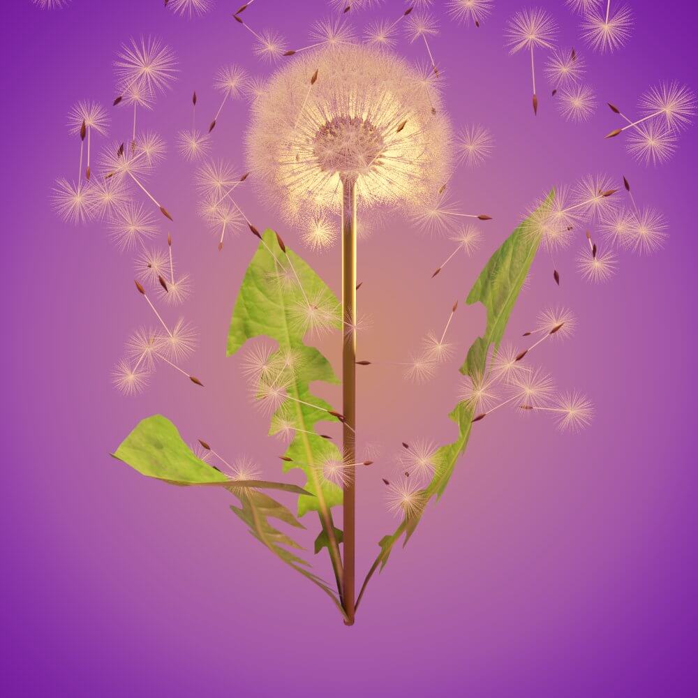 Dandelion - 3D Model by Petar Doychev