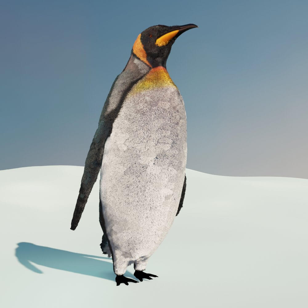 Emperor Penguin - 3D Model by Petar Doychev
