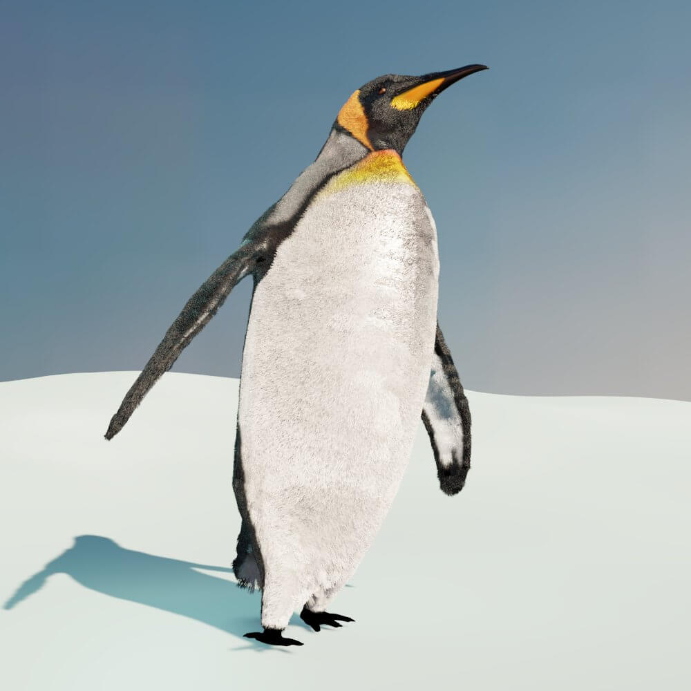Emperor Penguin - 3D Model by Petar Doychev