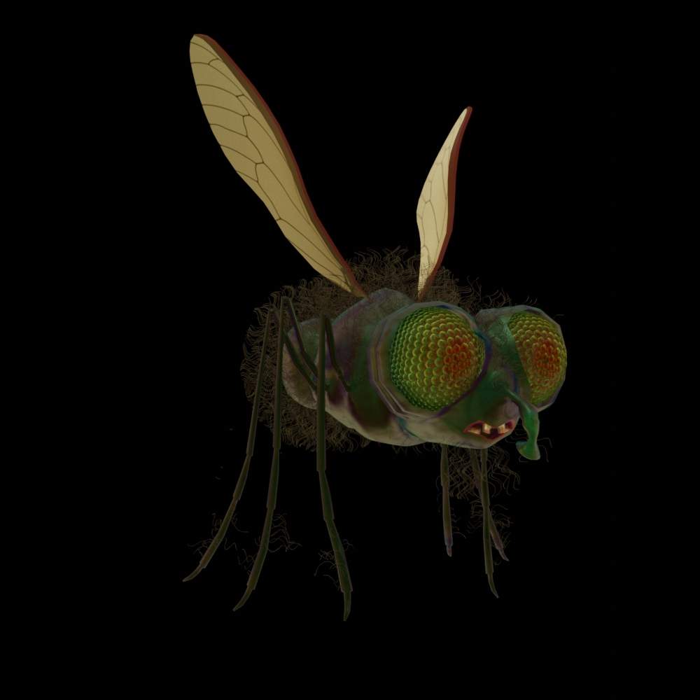 Fly - 3D Model by Petar Doychev