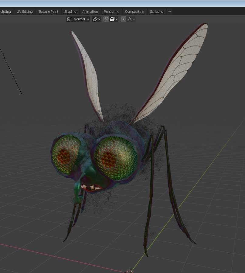 Fly - 3D Model by Petar Doychev