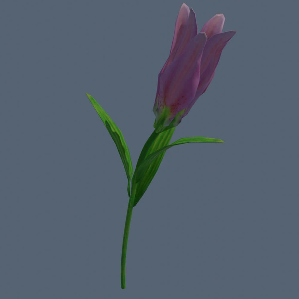 Animated Lily Flowers - 3D Model by Petar Doychev
