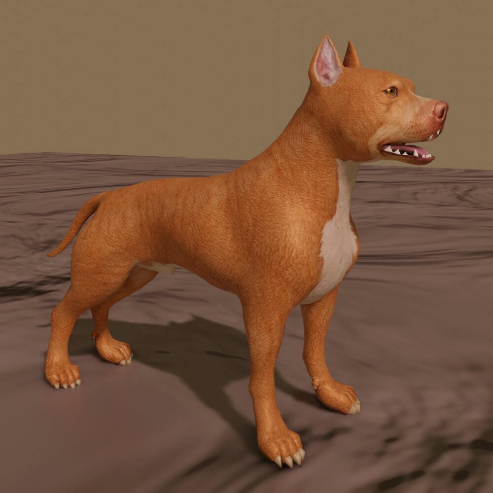 Pitbull - 3D Model by Petar Doychev