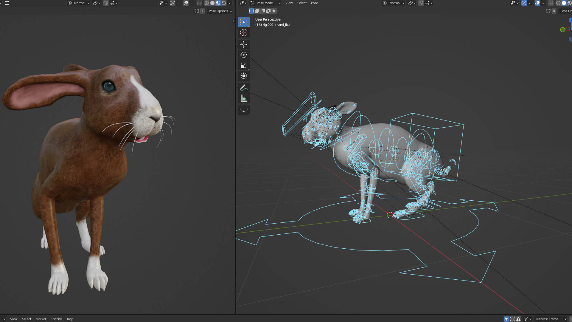 Rabbit - 3D Model by Petar Doychev