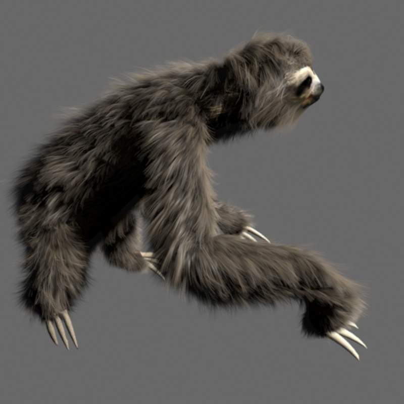 Sloth - 3D Model by Petar Doychev