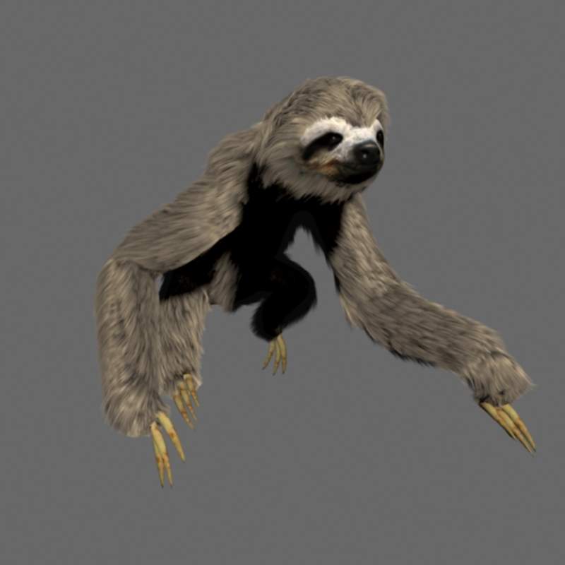 Sloth - 3D Model by Petar Doychev