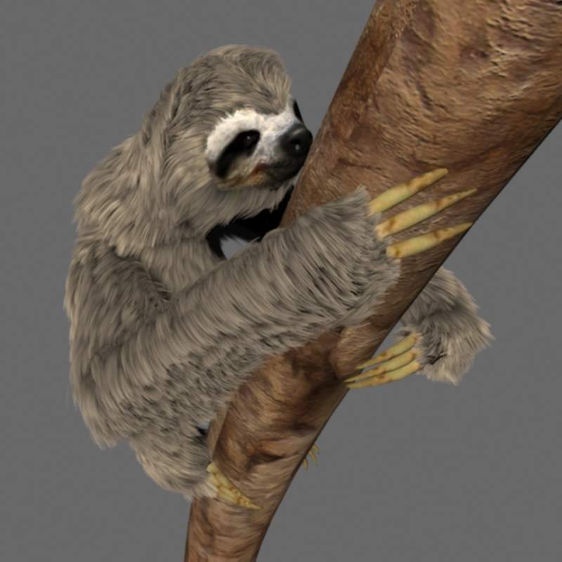 Sloth - 3D Model by Petar Doychev