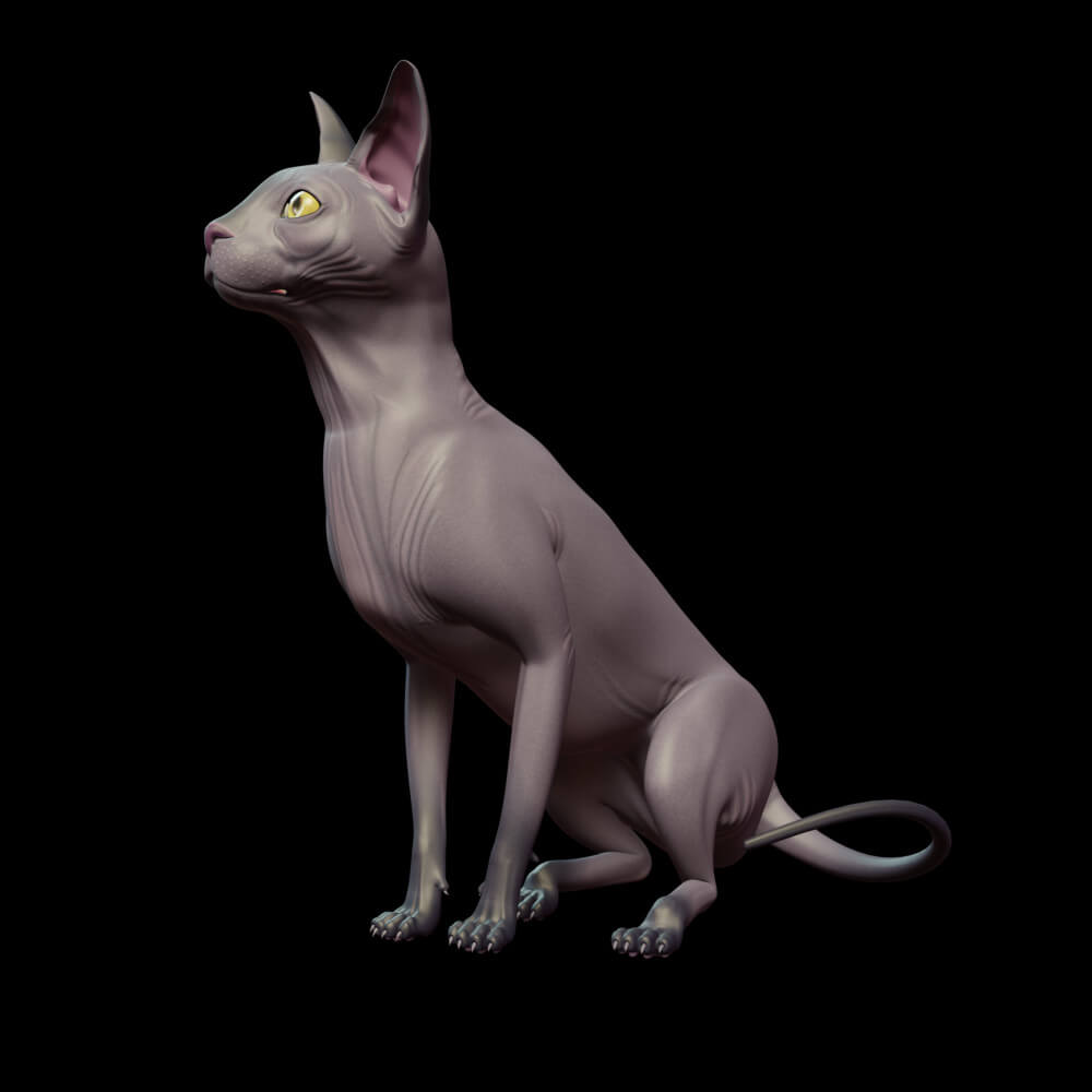 Sphynx Cat - 3D Model by Petar Doychev