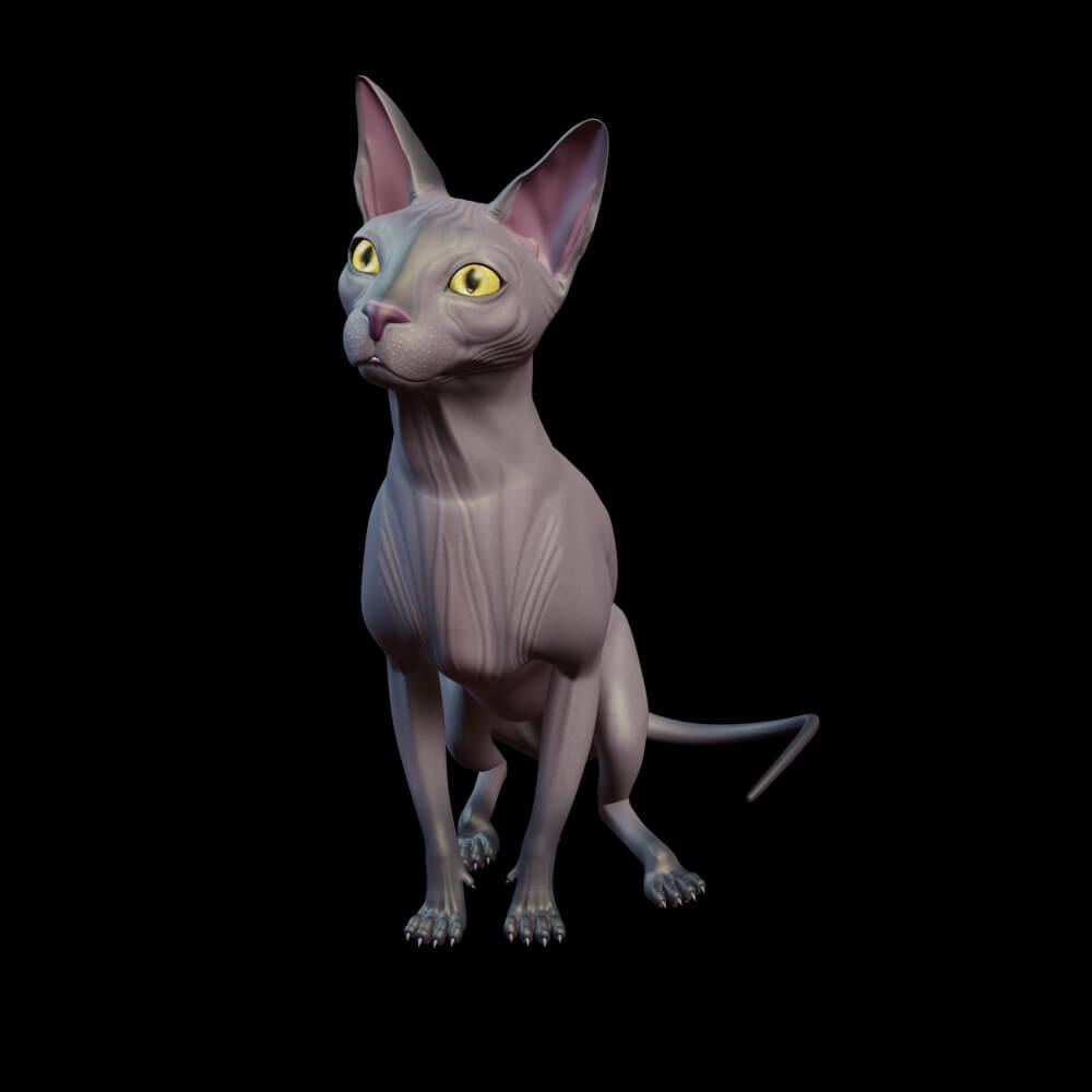 Sphynx Cat - 3D Model by Petar Doychev