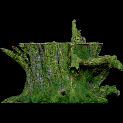 Mid Poly Models | Plants | Tree Stumps | RenderHub