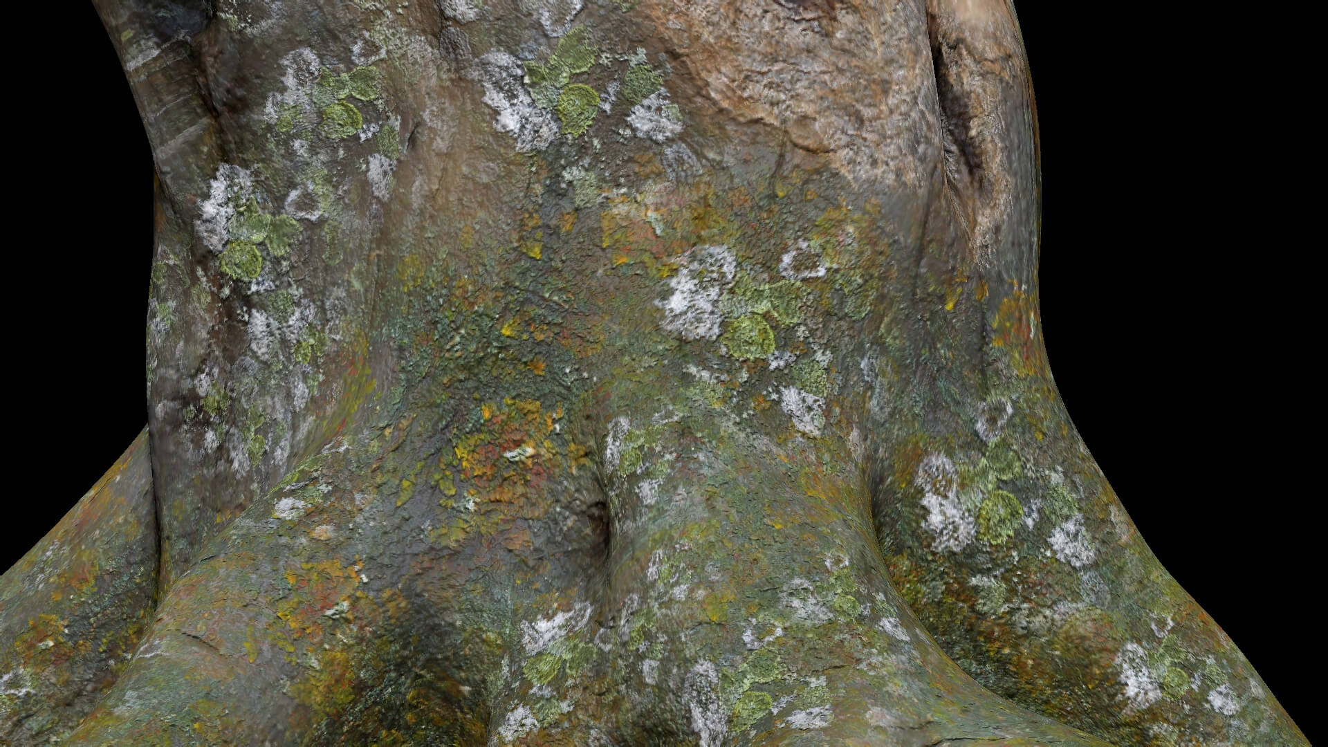 Dead Moss Tree Stump V2 - 3D Model by Phile Rain