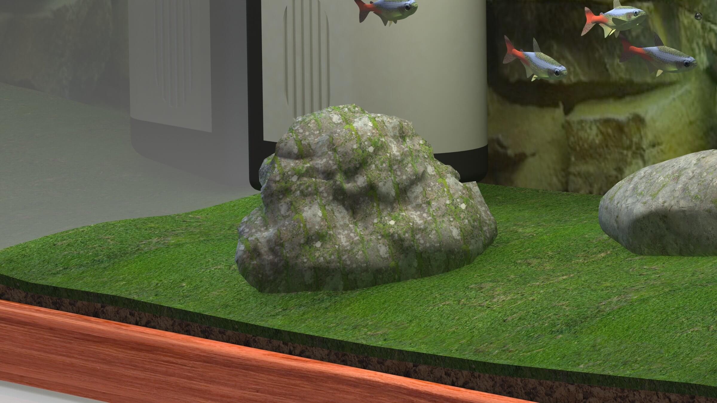 Tropical Aquarium 4K - 3D Model by Pictorer