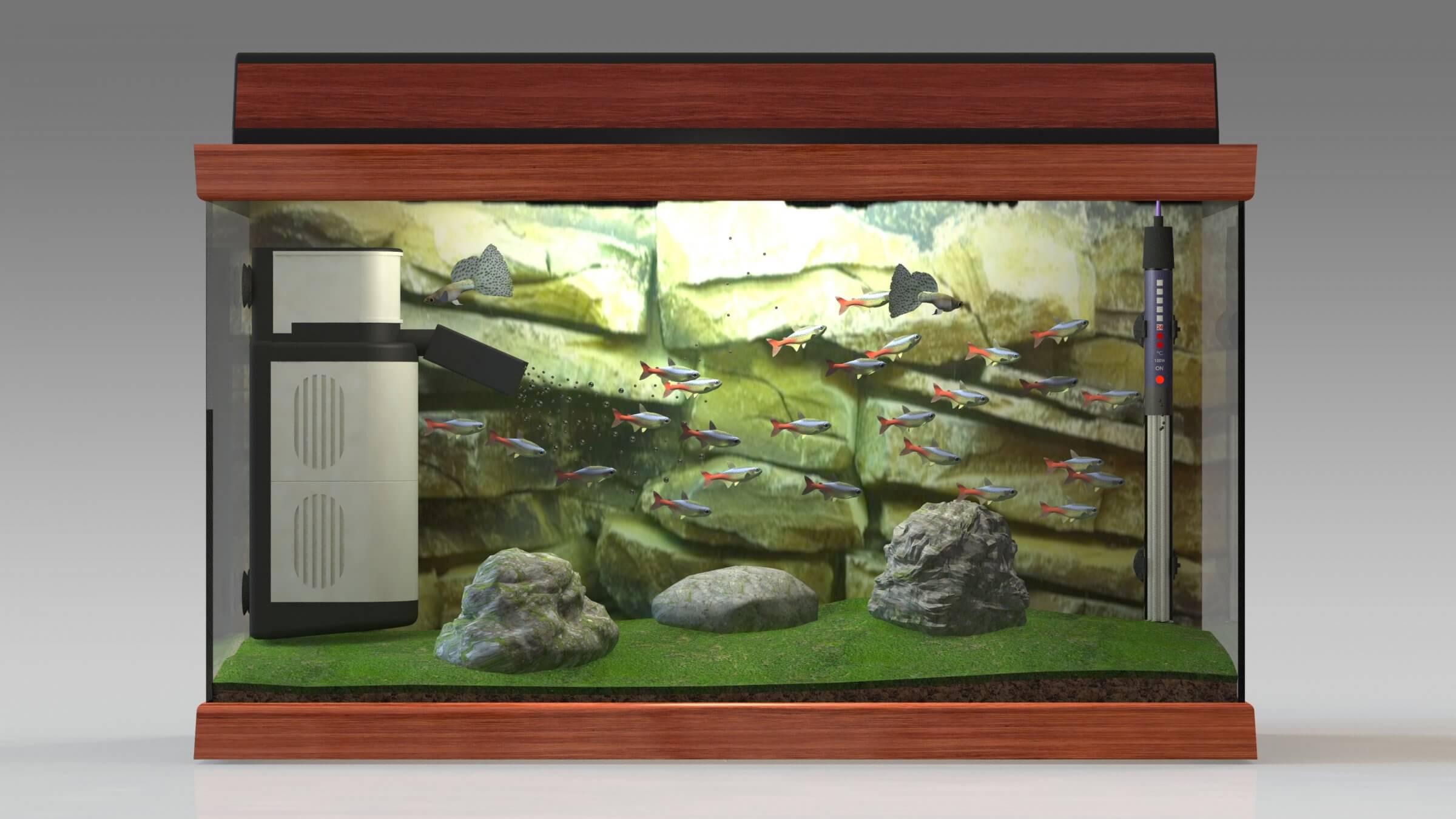 Tropical Aquarium 4K - 3D Model by Pictorer