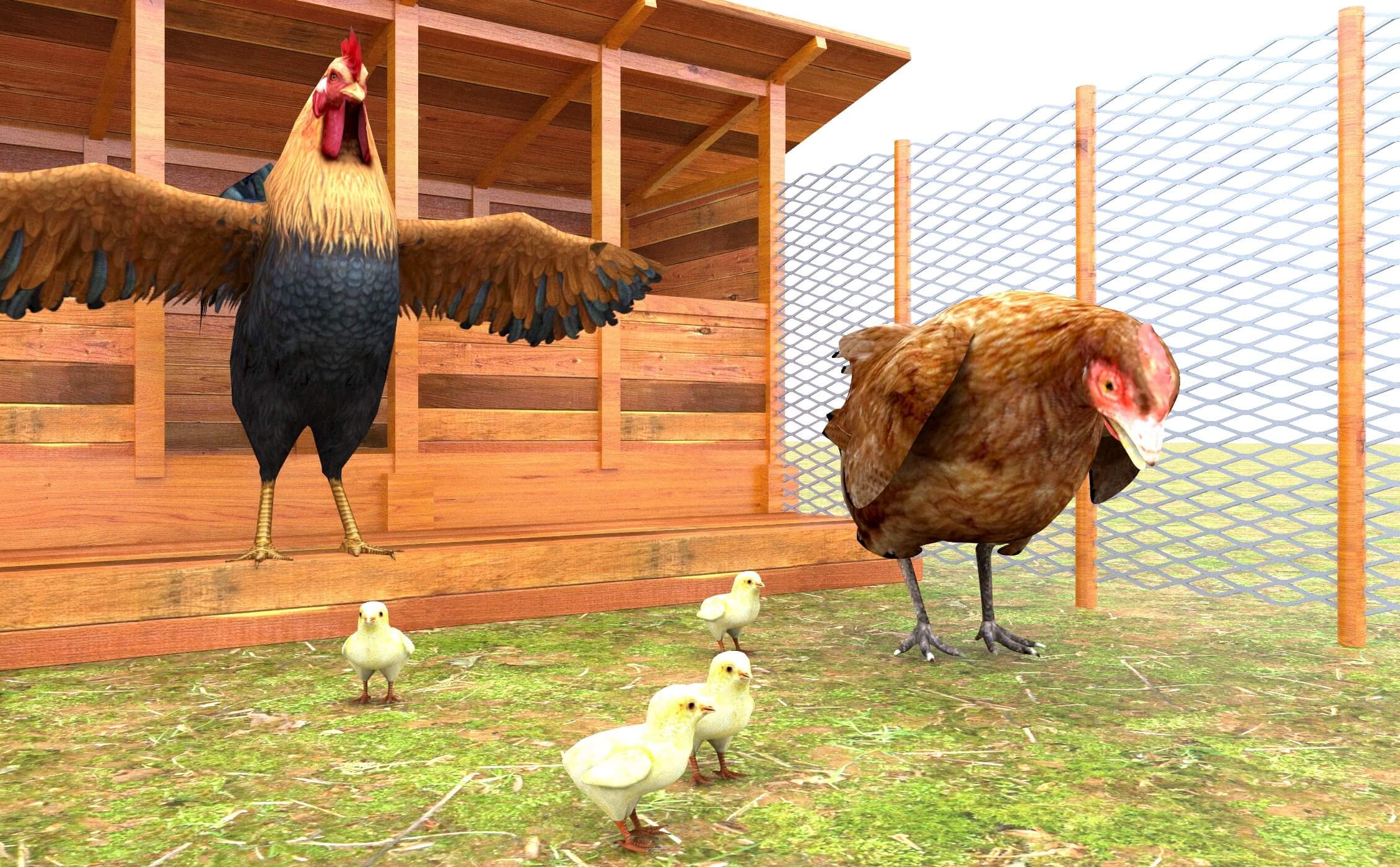 Chicken Coop - 3D Model by Pictorer