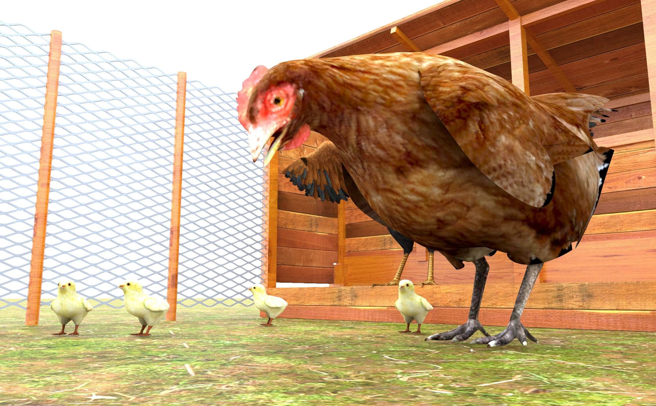 Chicken Coop - 3D Model by Pictorer